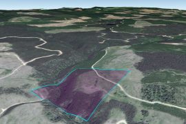 GALENA CREEK - BC Gold